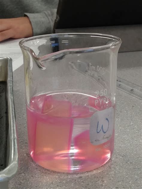 Agar Cube Lab Cell Transport And Diffusion Patryk S Blog