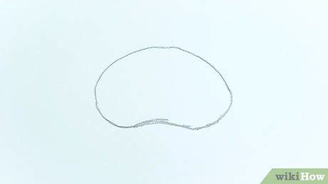 How To Draw The Brain Mytour