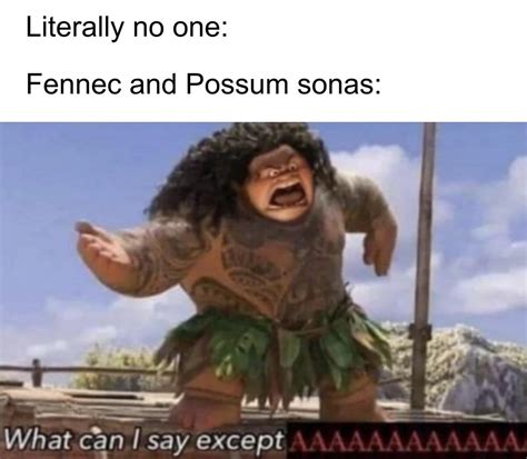 Fennec Irl Furry Irl