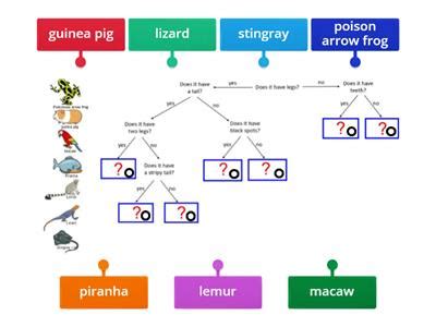 Branching Diagram Teaching Resources