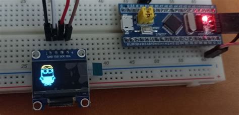 Mahya Gholami On Linkedin Stm32 Oled Minion