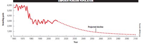 African Penguin Population Graph