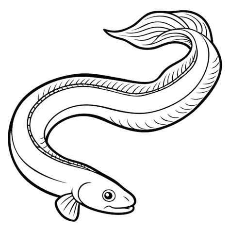 Eel Drawing Book Images Free Download On Freepik