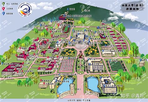 在山东大学（威海）读中外合作是怎样的体验？ 知乎