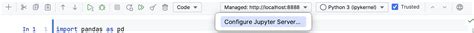 Manage Jupyter Notebook Servers IntelliJ IDEA Documentation