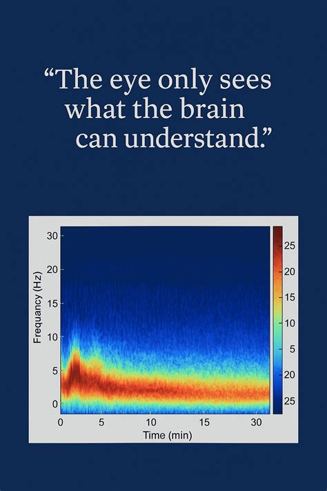 Anesthesiology Neuroanesthesia Eeg Tiva Spectrogram Consciousness