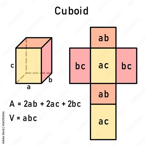 Graphical derivation of the area and volume of a cuboid using its mesh color coded เวกเตอร