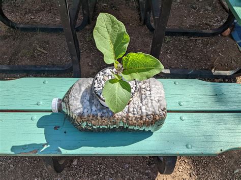 Diy Wick Hydroponic Setup R Gardening