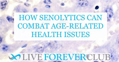 How Senolytics Can Combat Age Related Health Issues