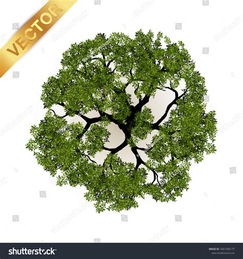 Trees Top View Landscape Vector Illustration Stock Vector Royalty Free Shutterstock