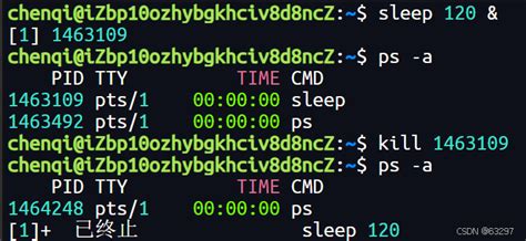 Linux系统编程:进程管理、内存对比与树莓派应用ps A 命令 Csdn博客 Linux系统编程:进程管理、内存对比与树莓派应用ps A 命令 Csdn博客