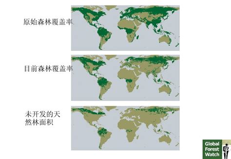 世界森林分布图高清版 千图网