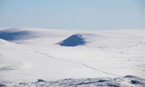 Architecture Of Scientific Cognition Asc Cognitive Science Of Science