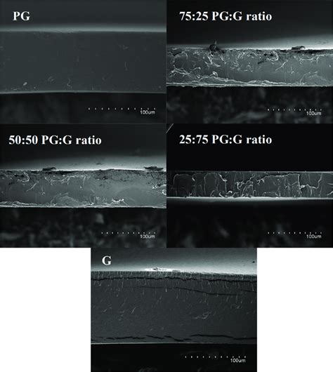 Sem Micrographs Of The Cross Sections Of The Developed Films Using Neat