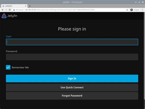 jellyfin and raspberry pi a free system to manage your media