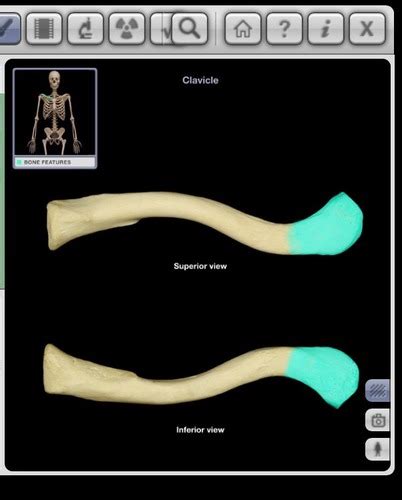 Lab Test 2 Flashcards Quizlet