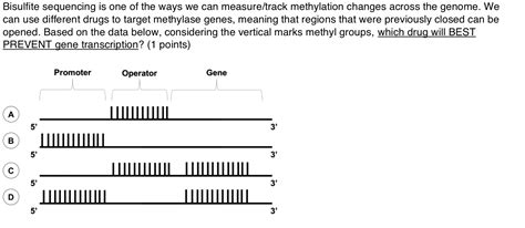 Bisulfite Sequencing Is One Of The Ways We Can Chegg Com