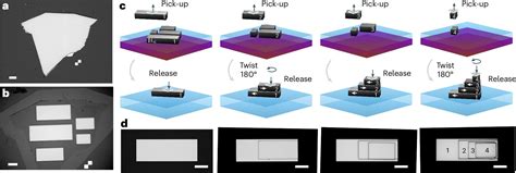 Quantum Leaps A Beginners Guide To Quantum Physics