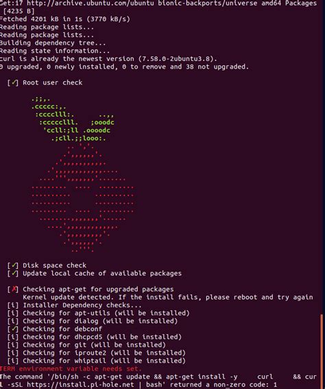 ubuntu 18 04 installing pi hole in docker container stack overflow