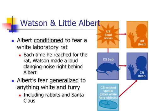 ppt chapter 4 classical conditioning basic phenomena and various