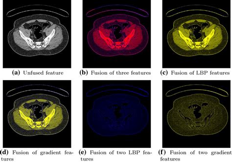 Six Groups Of Multi Space Recombined Images Download Scientific Diagram