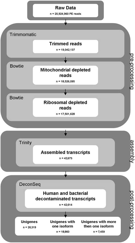 Filtering And Assembling Pipeline Flowchart Data Files Are Represented Download Scientific