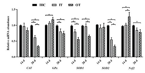 Effects Of Cold Environments On The Relative Gene Expression Level Of