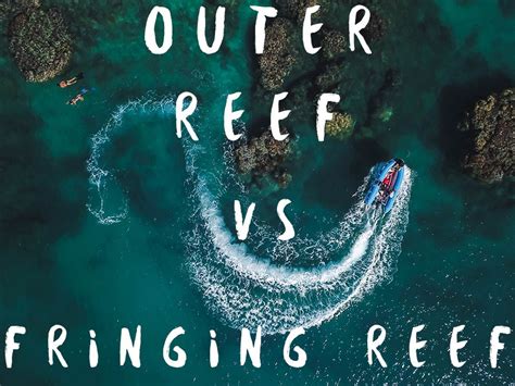 Fringing Reef What Is The Difference Between The Outer Great Barrier