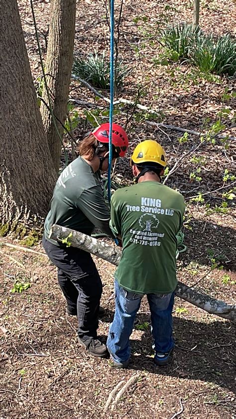 Welcome To The Home Page Of King Tree Services LLC