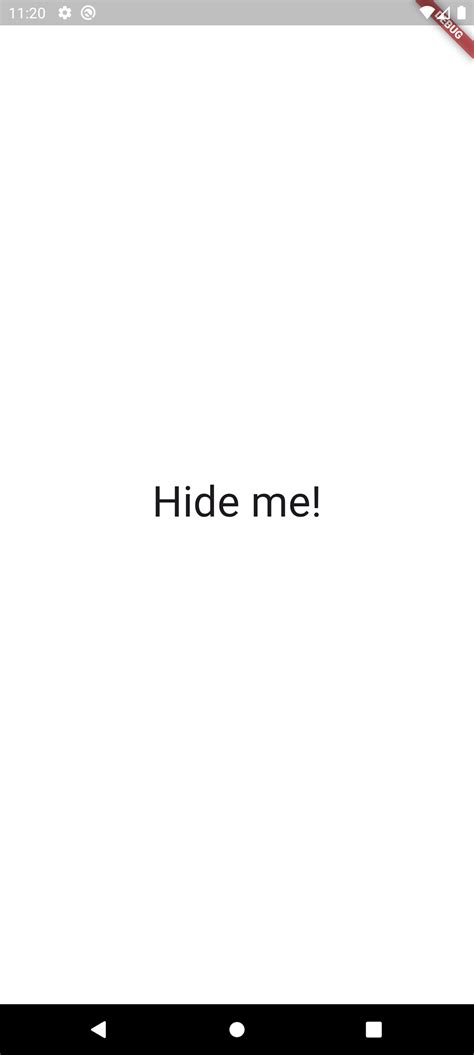 Concealer Flutter Package