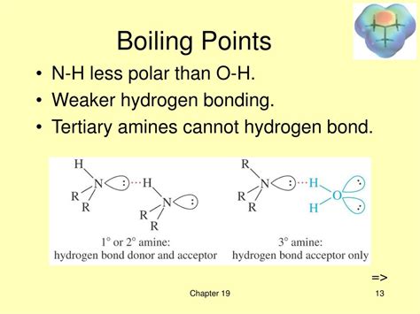 PPT - Chapter 19 Amines PowerPoint Presentation, free download - ID:3081365
