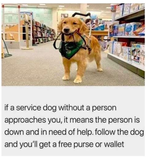 Not Gonna Lie They Had Us In The First Half Meme By Tlaine Memedroid