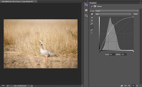 How To Use Curves In Photoshop How To Use Curves In Photoshop