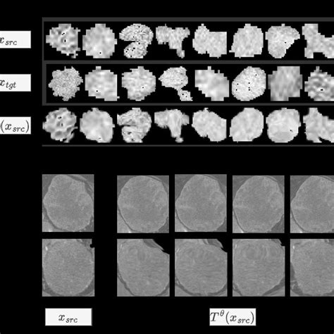 Visual Examples Of The Generative Model In A Reconstructing Xtgt Download Scientific Diagram