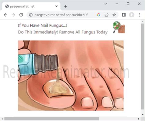 Remove Psegeevalrat Net Virus Removal Guide « Guide How To « Newest Viruses And Malware
