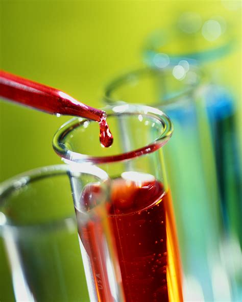 Toxoplasmose Igg Positivo Brasil Blogado