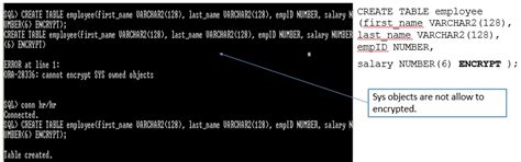 Database Security Unit 8 Encryption And Wallet Oer Commons