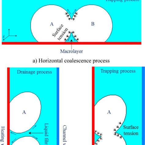 The Schematic Diagram Of Bubble Coalescence Process 11 Download