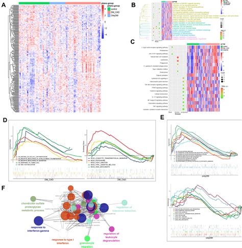 Functional Enrichment Analysis Of Phenotype Related Modules A Download Scientific Diagram