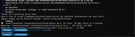 Oh My Posh Version Does Not Display The Version Number Issue 299 JanDeDobbeleer Oh My