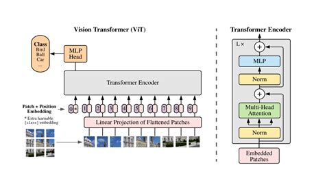 vit（vision transformer）模型代码超级详细讲解（pytorch实现） vit模型代码 csdn博客