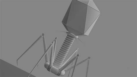 Virus Bacteriophage Nanorobot Rigged 3d Model Turbosquid 1695630