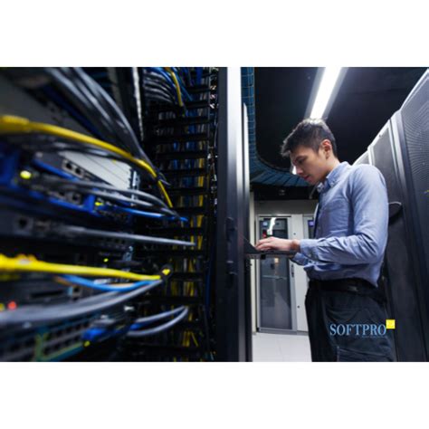 sap s4 hana test data migration server tdms training softpro9 it services