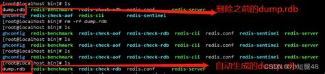 Redis触发了rdb机制，去没有自动生成dumprdb文件redis不生成rdb Csdn博客