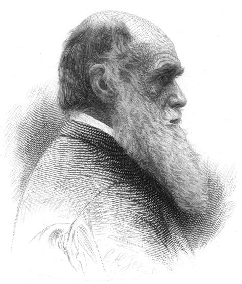 Evolution Sexual Selection Natural Selection Adaptation Britannica