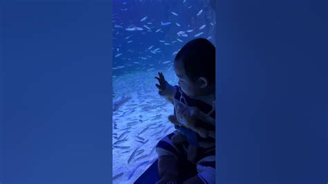 태어나서 처음보는 물고기🤗 Youtube