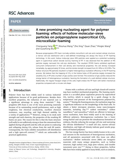 Pdf A New Promising Nucleating Agent For Polymer Foaming Effects Of