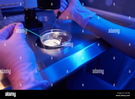 Sperm Sample Dish Hi Res Stock Photography And Images Alamy