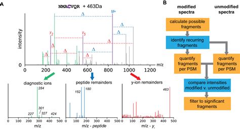 Diagnostic Ion Mining With Ptm Shepherd In Fragpipe Fragpipe