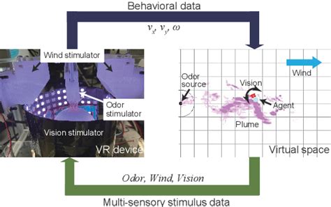 figure 1 from robust moth inspired algorithm for odor source localization using multimodal